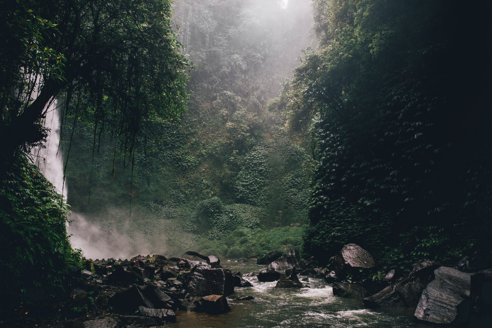 Darien Gap from Panama - Gamboa Rainforest