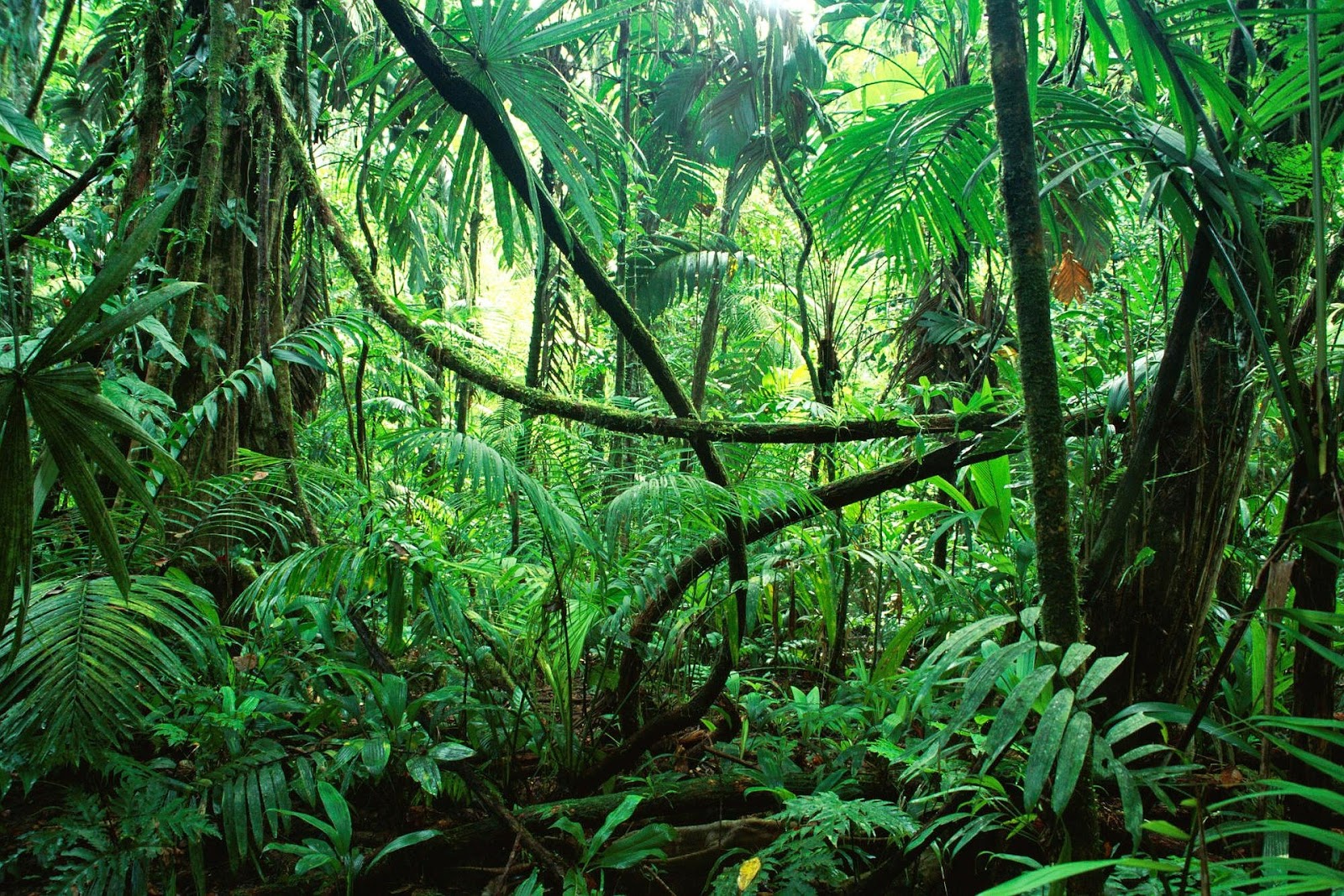 The Darien Gap and the Frontier - Colombia Tour Operators